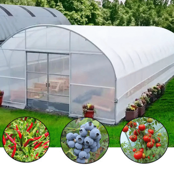 Low Cost Commercial Farming Plastic Green House Metal Frame Structure ...